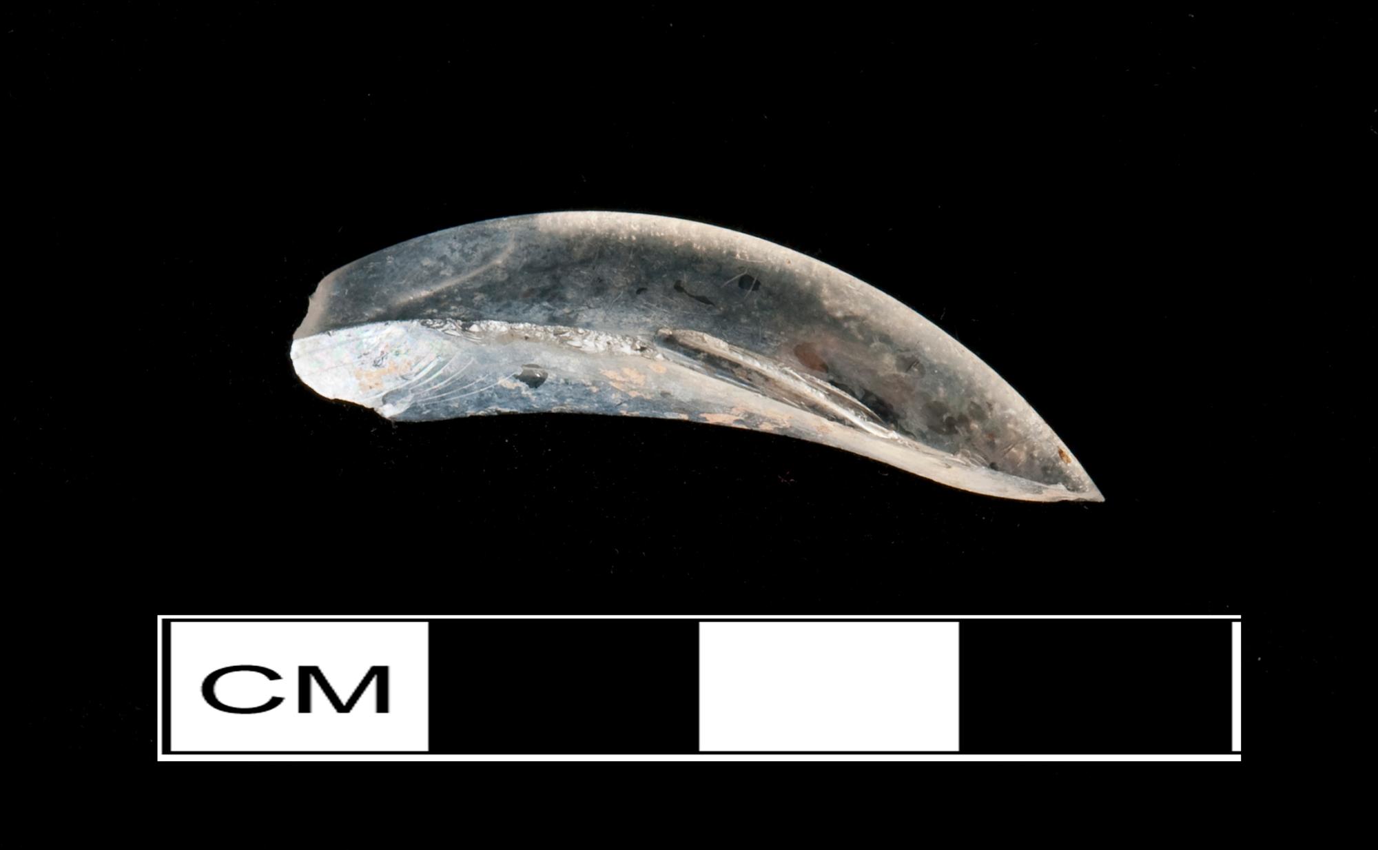 Candlestick base. | George Washington's Mount Vernon