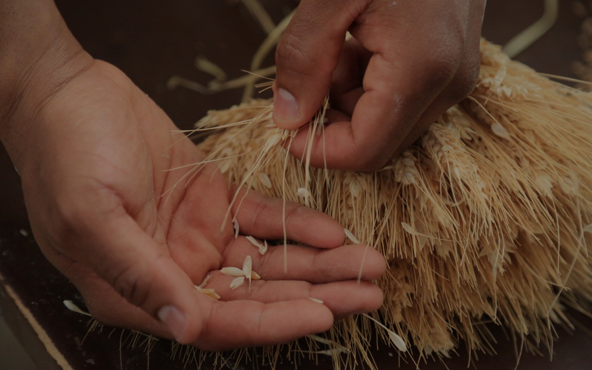 Lives Bound Together: Slavery at George Washington's Mount Vernon ...