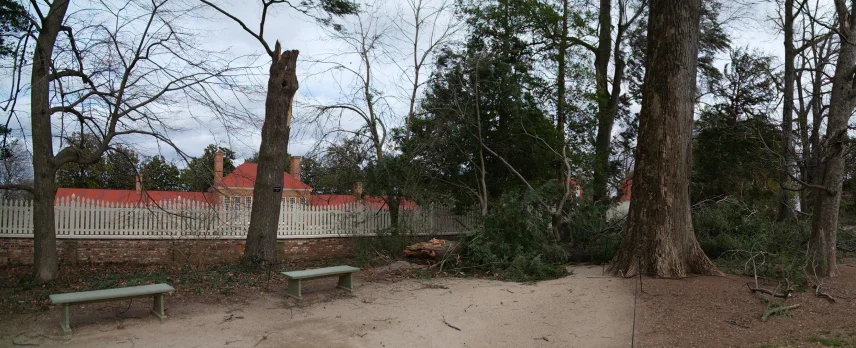 Wind Tears Down George Washington's Tree | George Washington's Mount Vernon