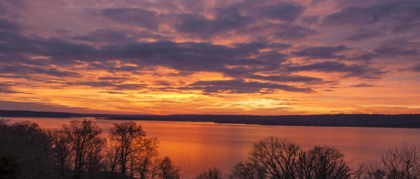 Art is Living History Youth Workshop | George Washington's Mount Vernon