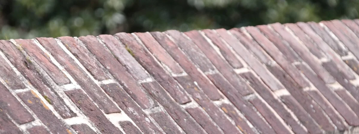 Slavery and Washington’s Presidency | George Washington's Mount Vernon