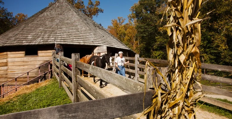 Farmer | George Washington's Mount Vernon