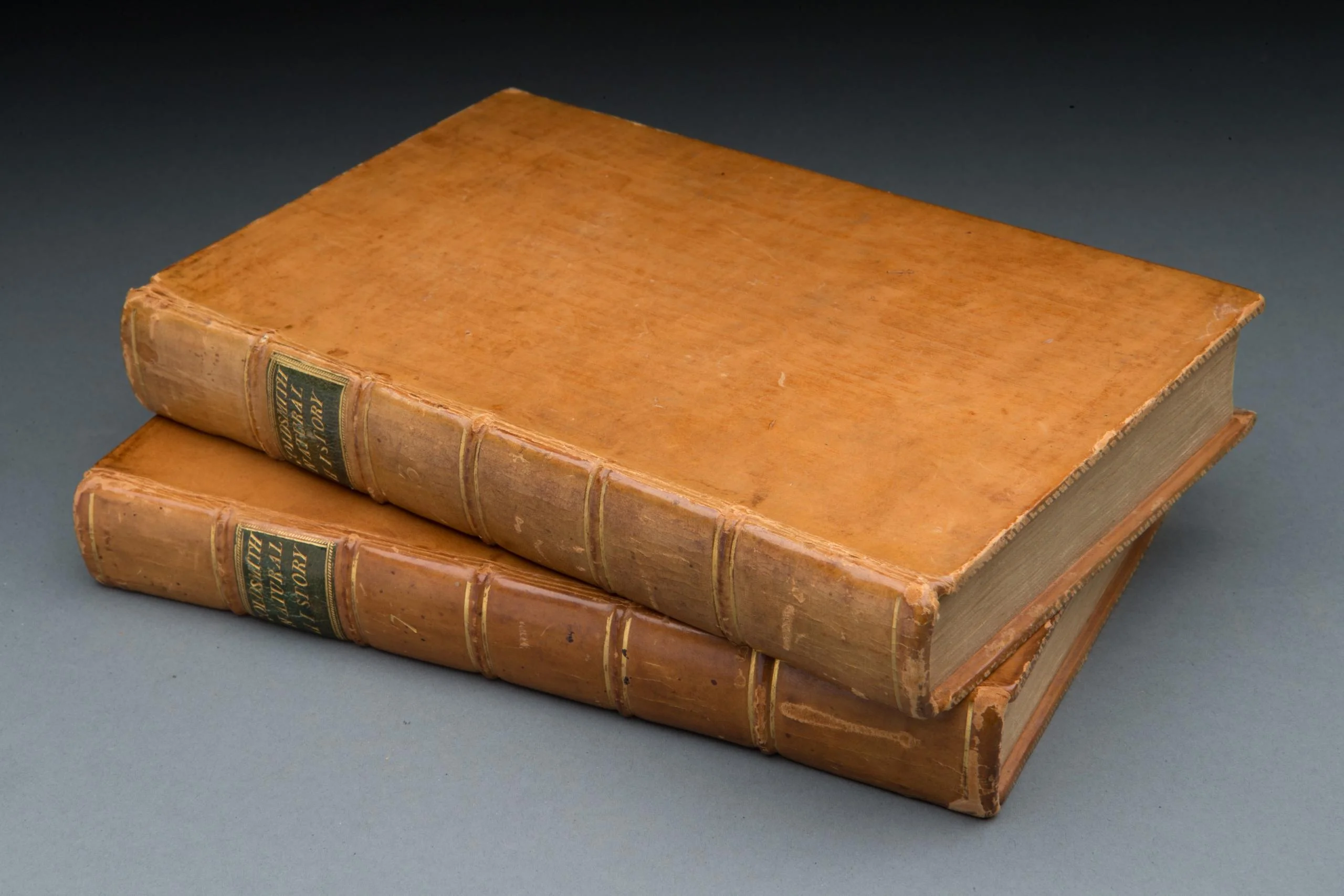 Renowned Presidential Historian Dr. Lindsay M. Chervinsky Named ...