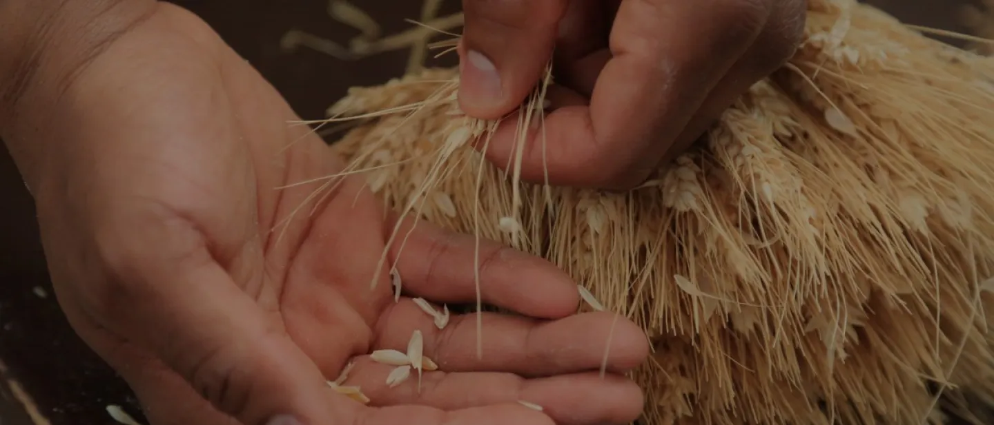 Lives Bound Together: Slavery at George Washington's Mount Vernon ...